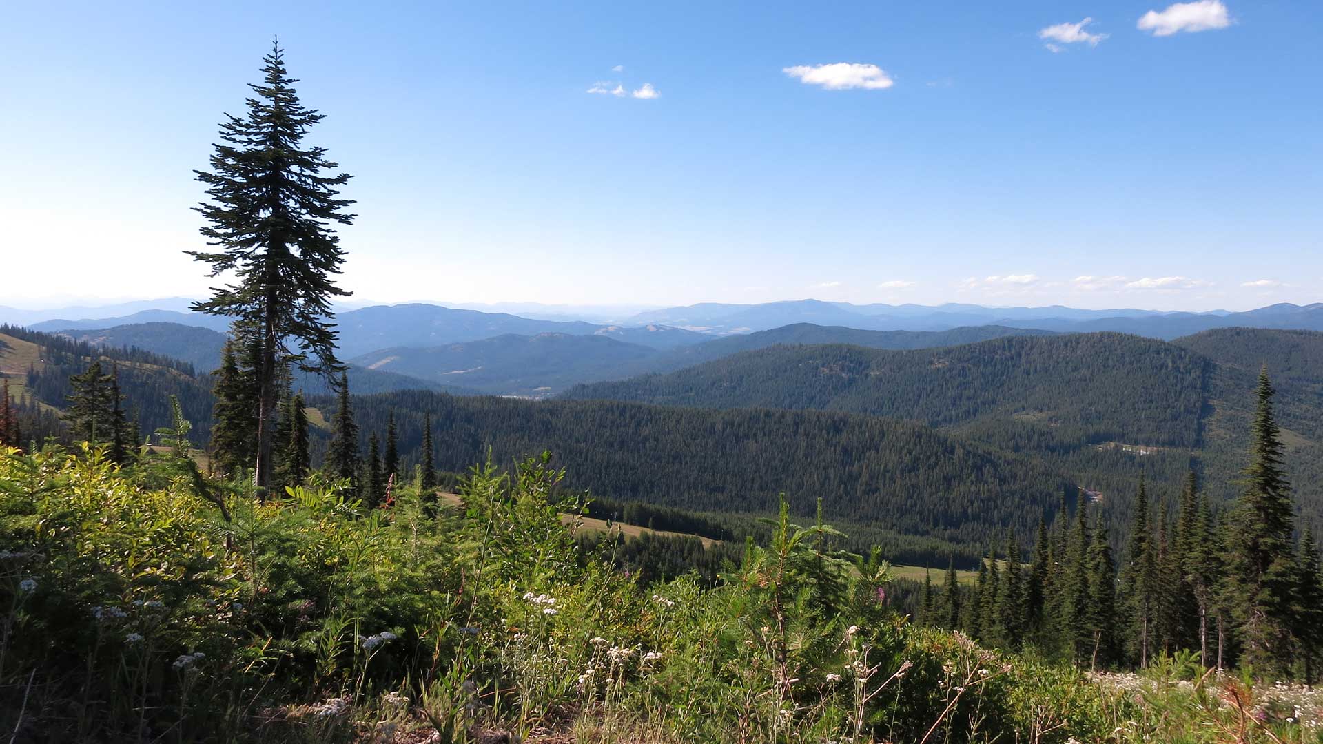 Chewelah Peak Chewelah Tourism