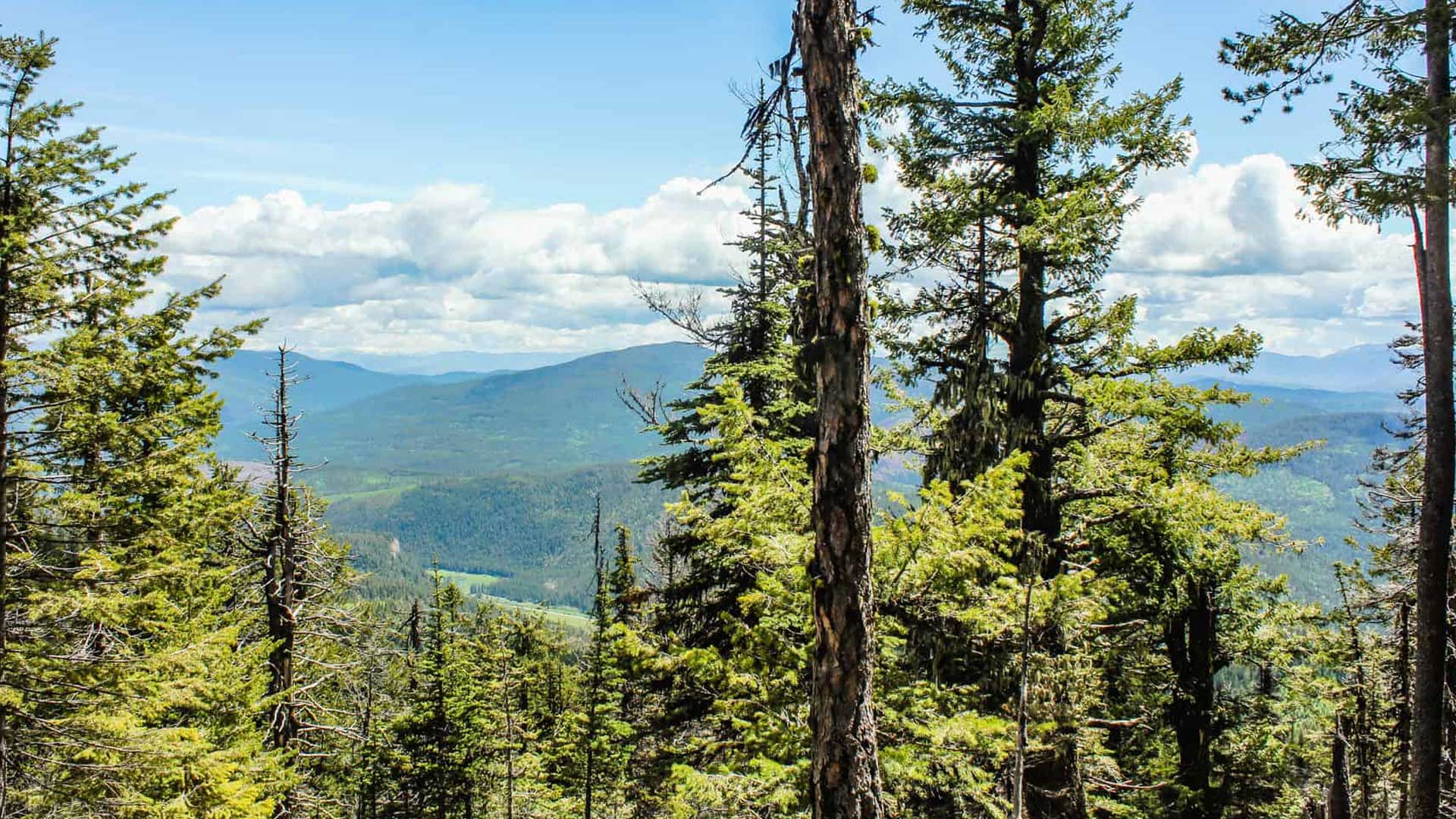 Gillette Ridge Trail System - Chewelah Tourism