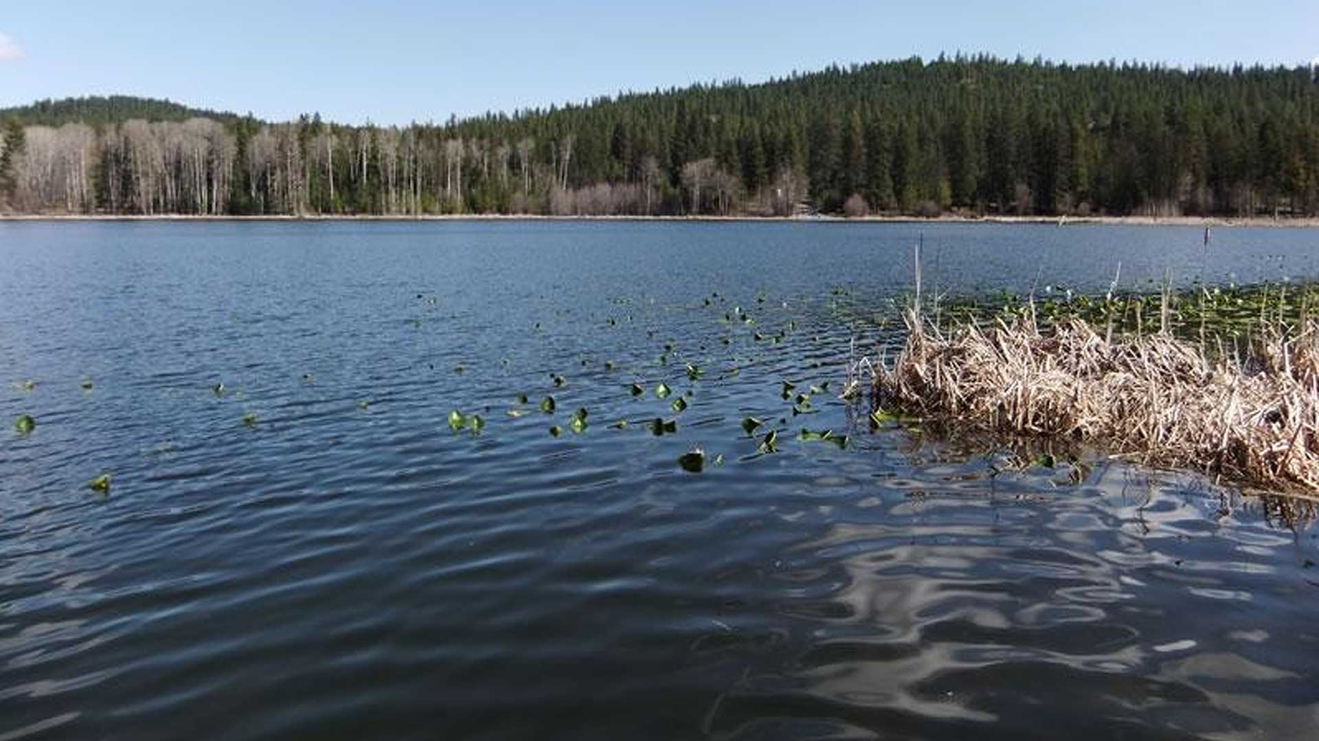 Starvation Lake Campground - Chewelah Tourism