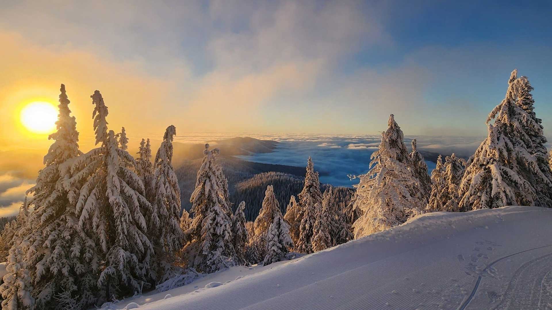 Things to Do - Chewelah Tourism